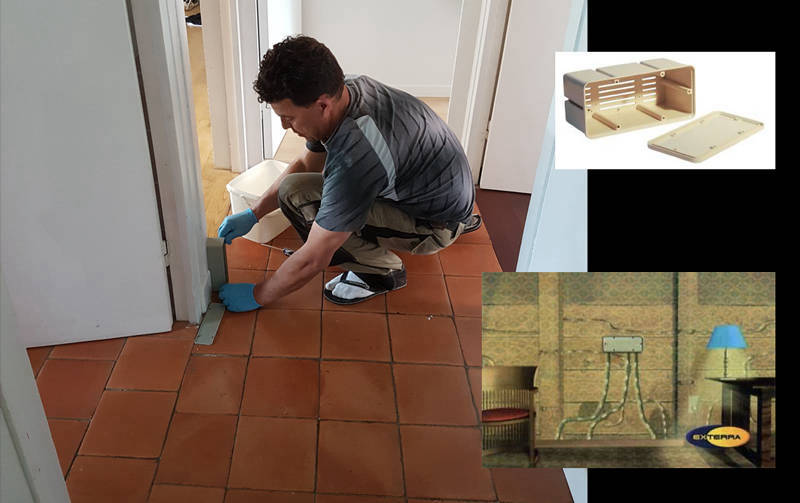 TERMISER Traitement, nos interventions et services en gironde
